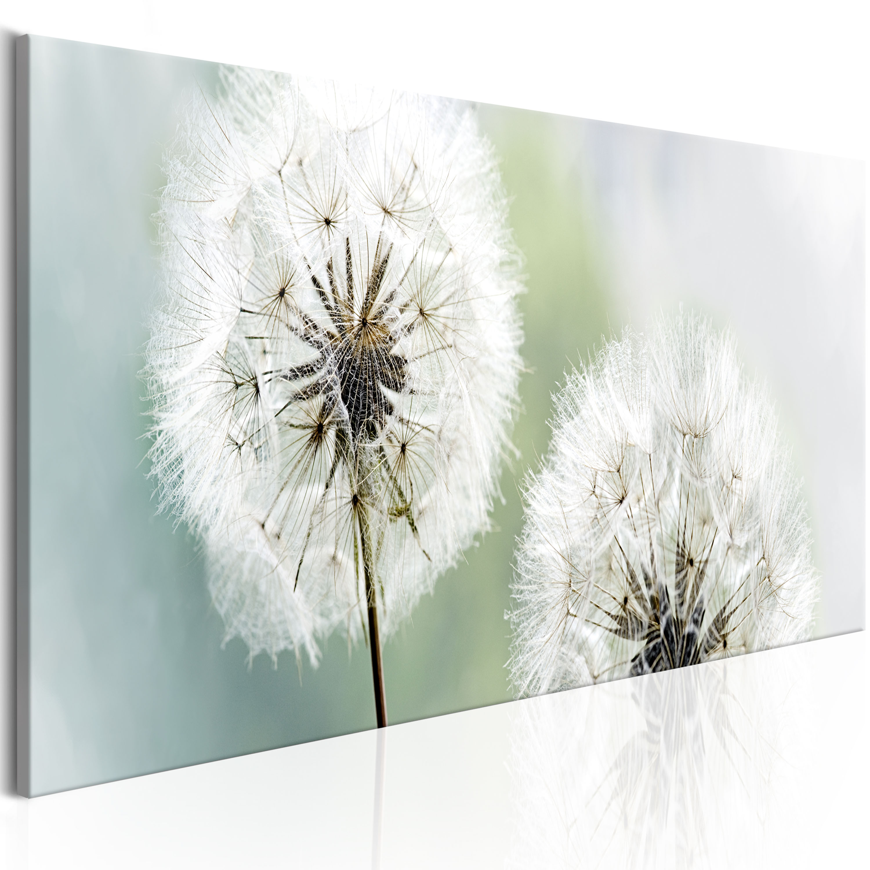 DANDELION NATURE Canvas Print Framed Wall Art Picture Photo Image b-B ...