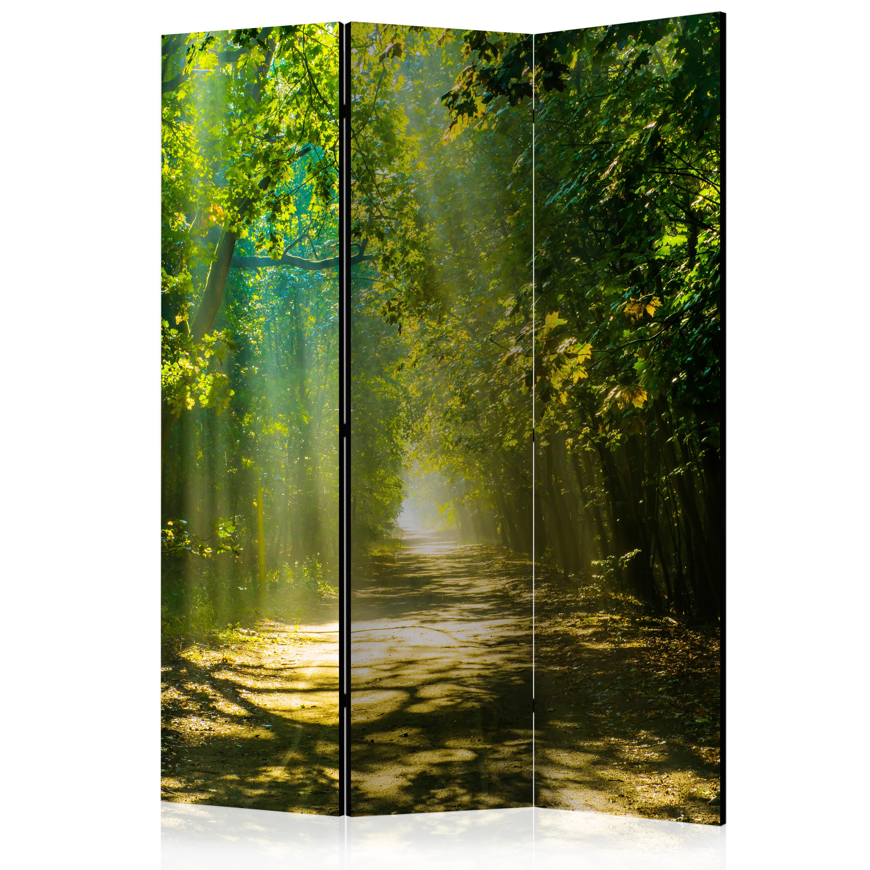Folding Screen Room Divider Non-Woven Printed Nature 10 patterns b-B ...